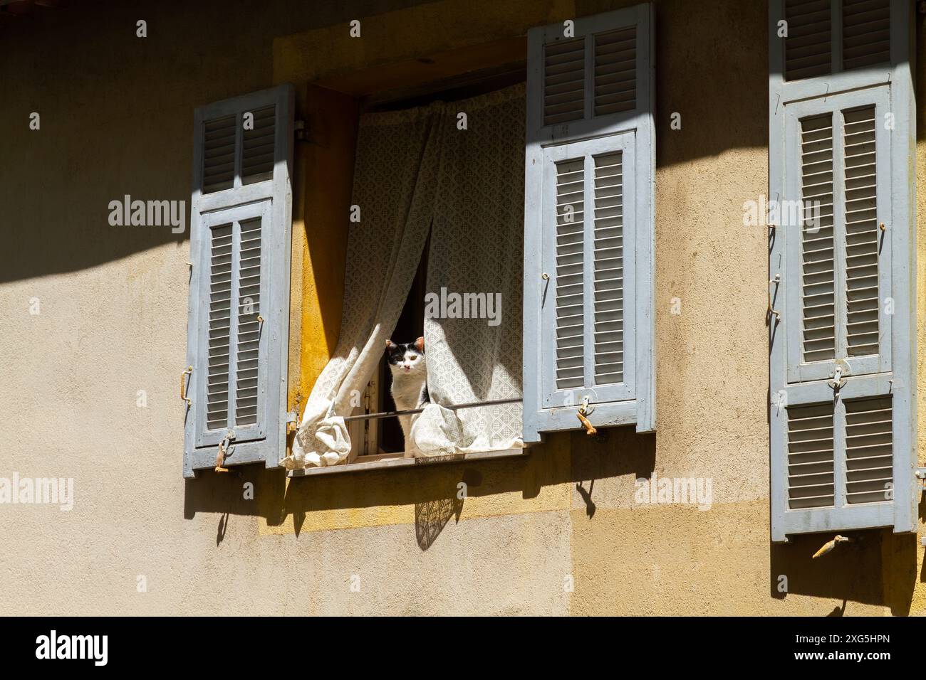 Cat sitting at window French Riviera Stock Photo - Alamy