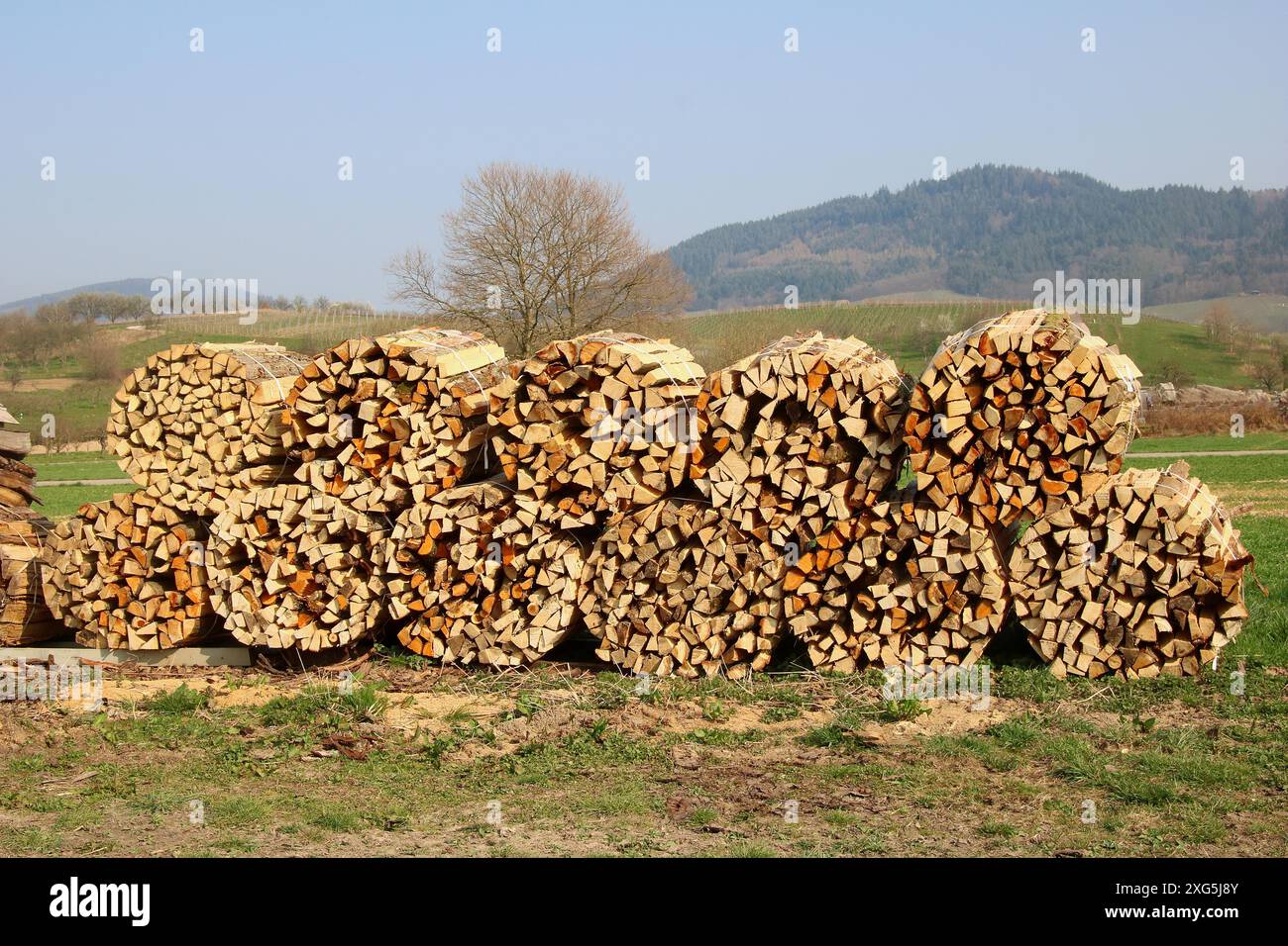 Hardwood pile hi-res stock photography and images - Alamy