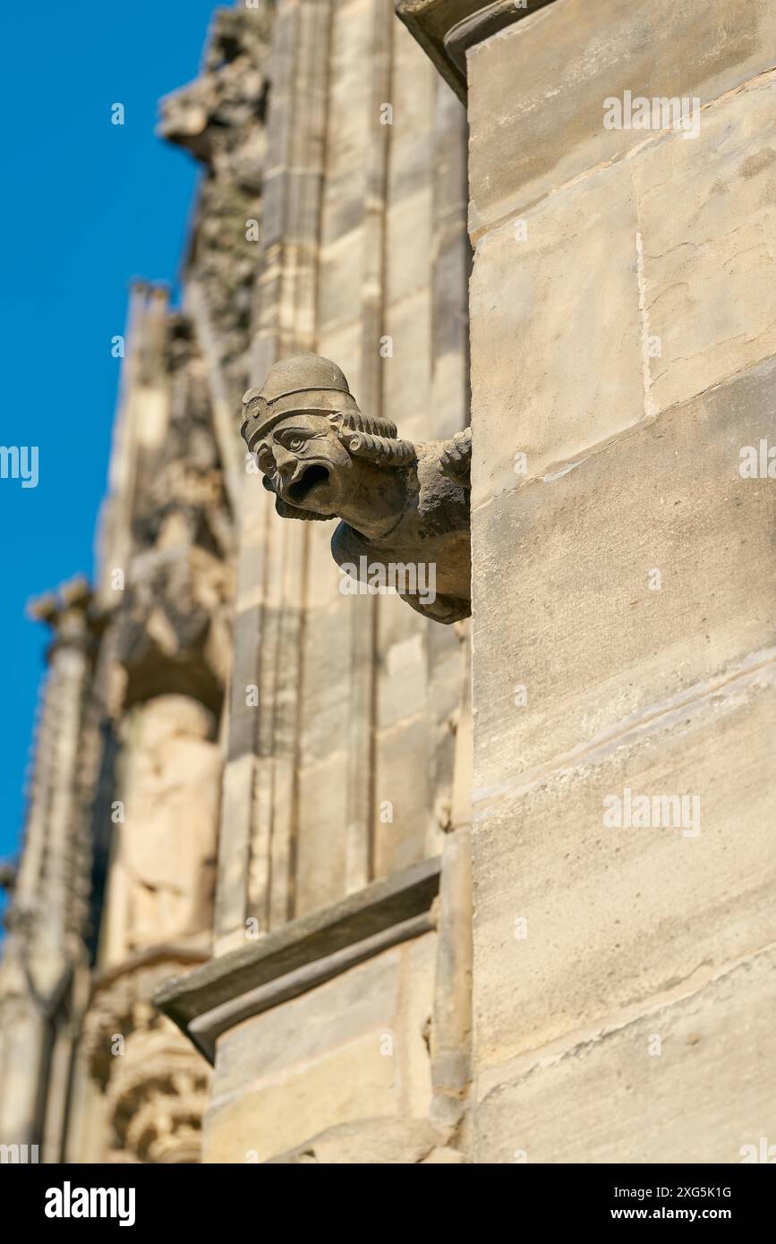 Sandstone gargoyle on the medieval facade of Magdeburg's Gothic ...