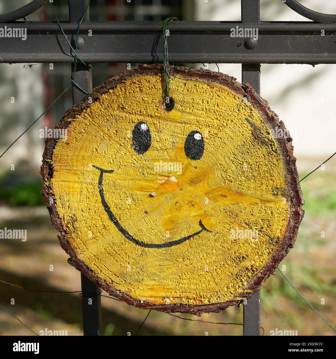 Tree disc with a painted face h Stock Photo - Alamy