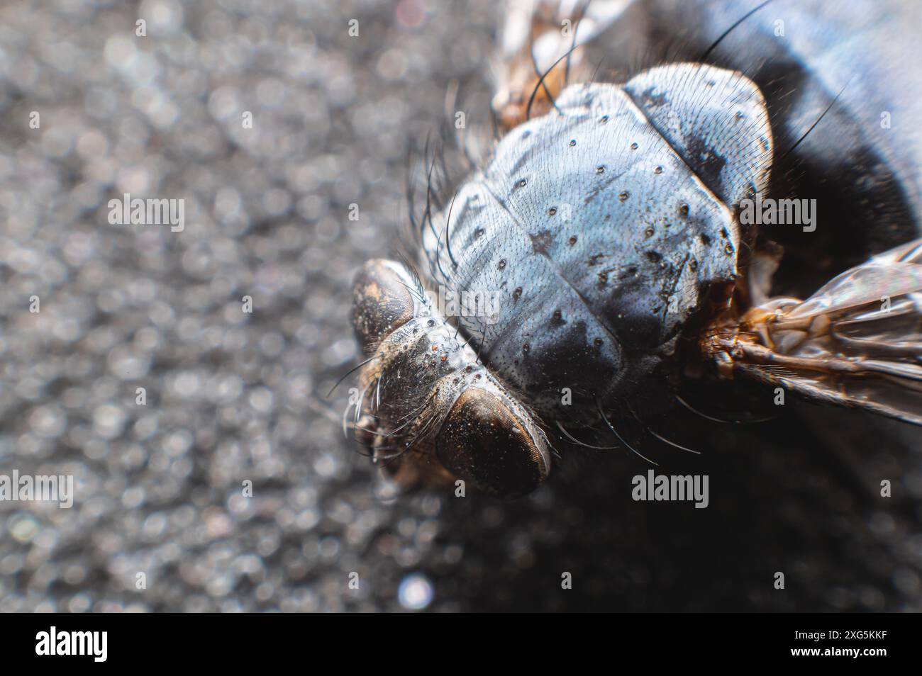 Observance of hygiene hi-res stock photography and images - Alamy