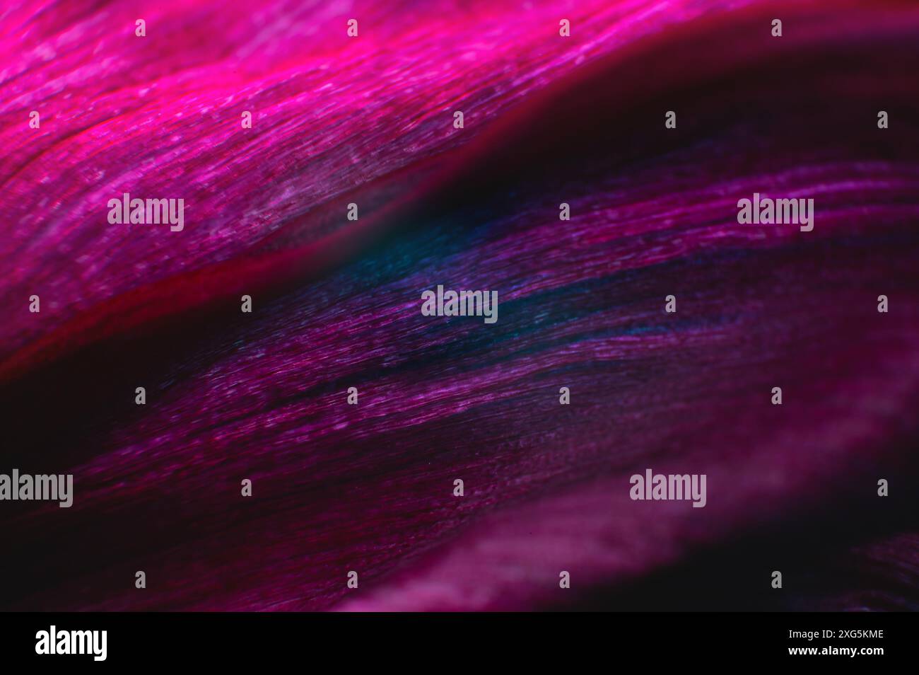 Intimate floral shot hi-res stock photography and images - Alamy