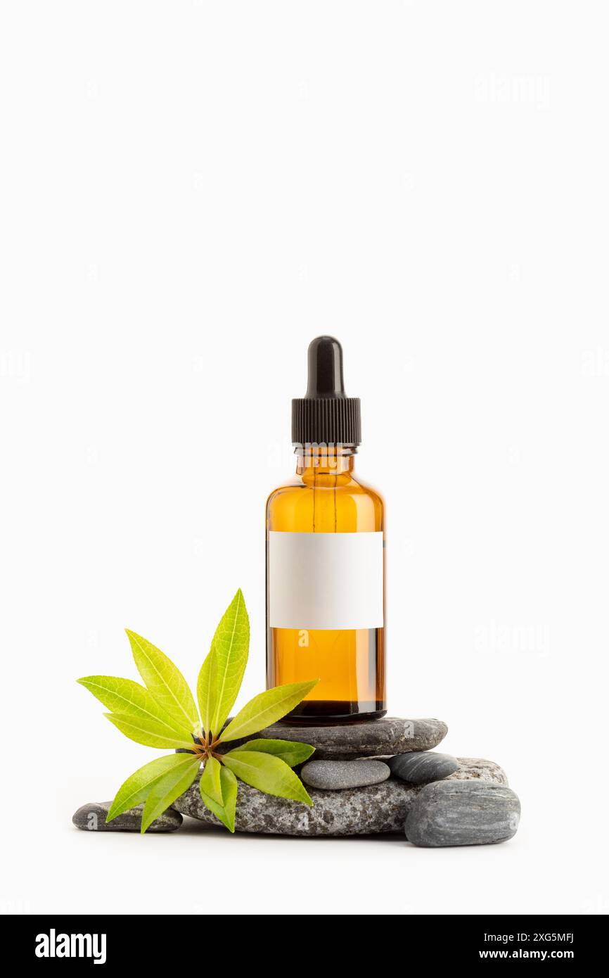 Pebble plant label hi-res stock photography and images - Alamy