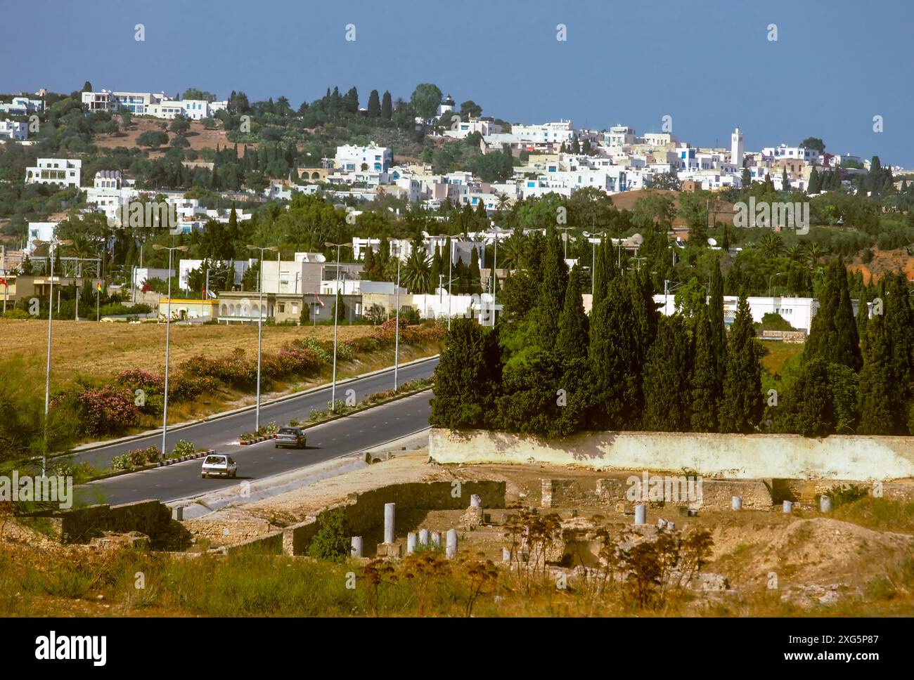 Damous karita hi-res stock photography and images - Alamy