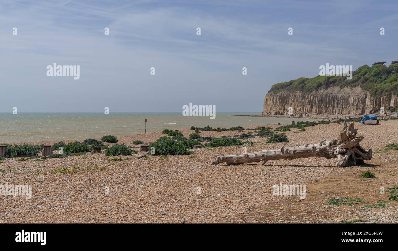 The beach and cliffs in Pett Level, East Sussex, England, UK Stock ...