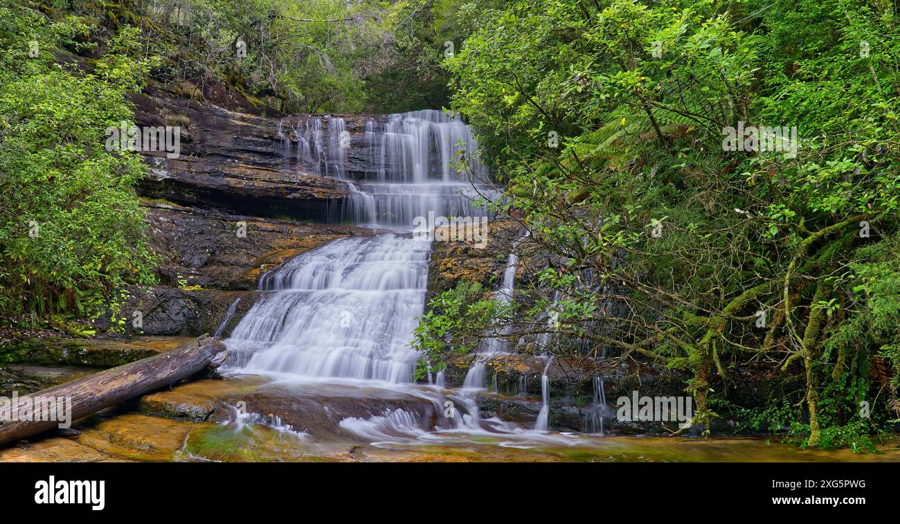 Panoramic view of Lady Barron falls cascade in rain forest gully at ...
