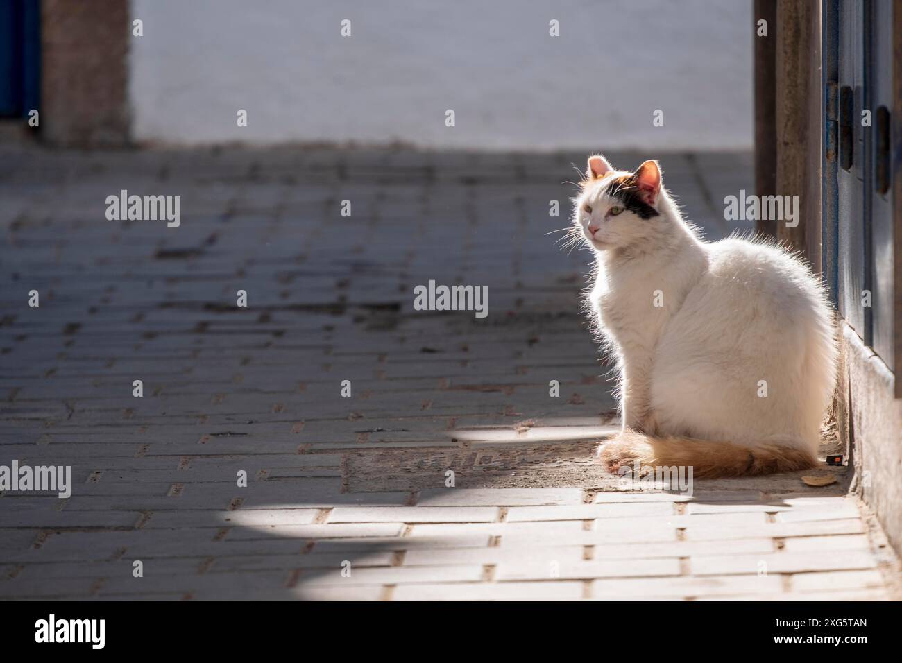 Madina region hi-res stock photography and images - Alamy