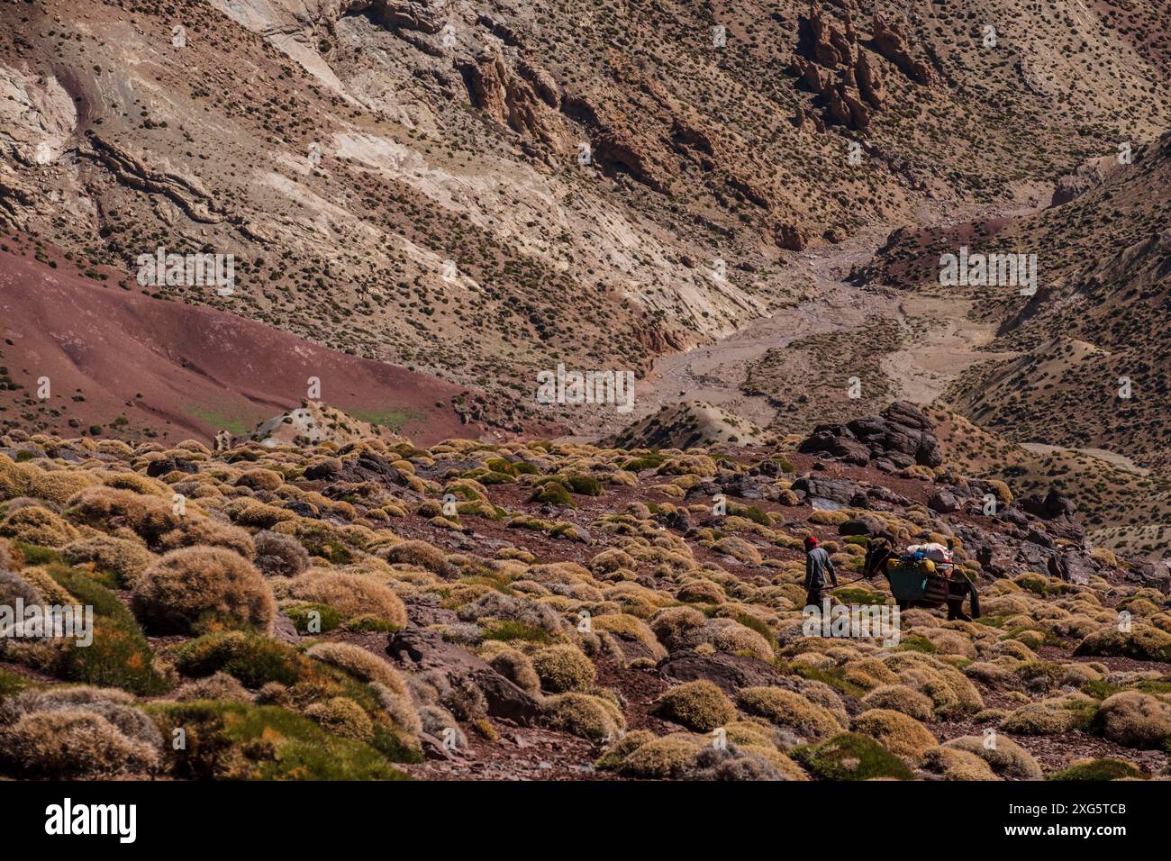 Plateau de Tarkeddit descent towards the Arous gorge, MGoun trek, Atlas ...