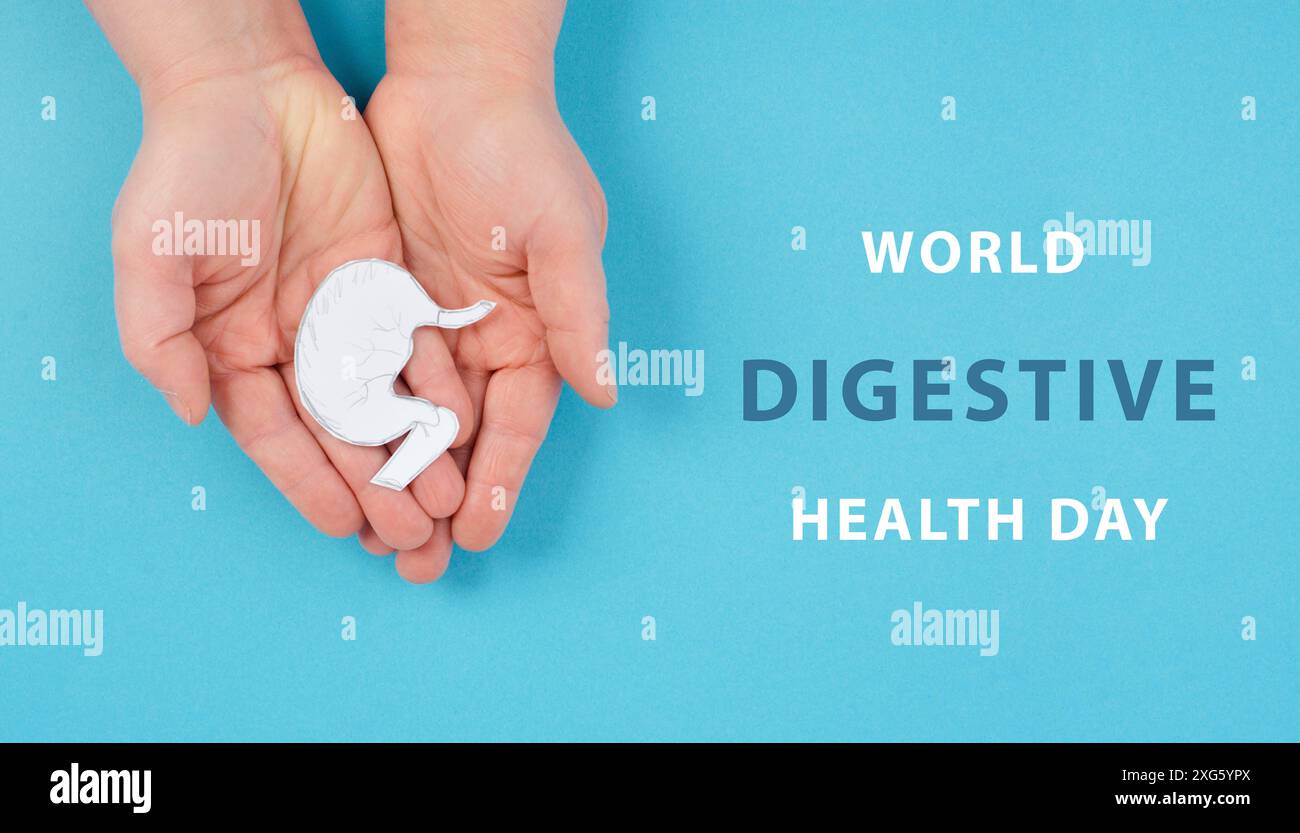 Digestive system hi-res stock photography and images - Alamy