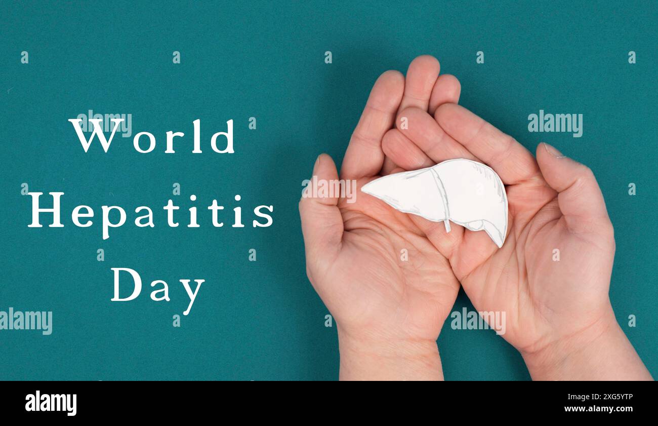 World hepatitis day, hands holding a liver, organ disease, health care ...