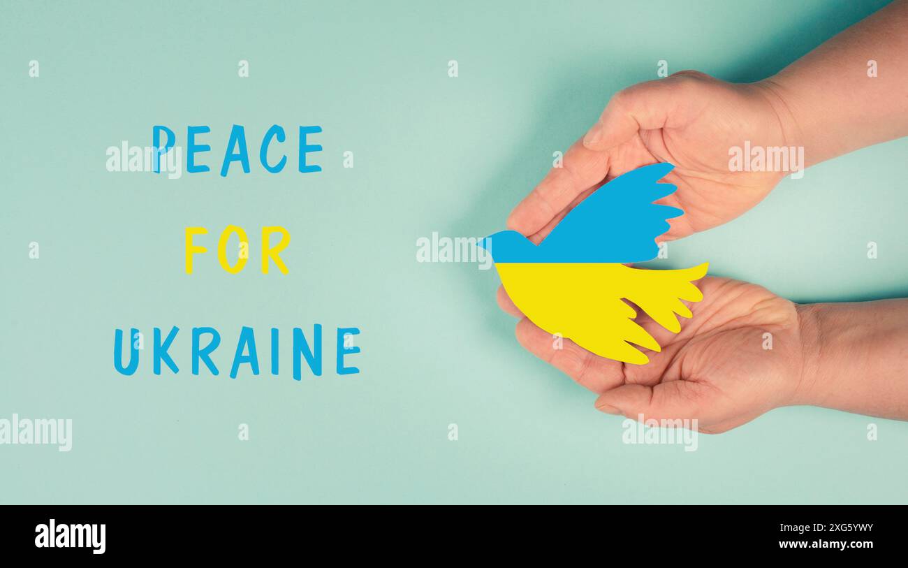 Hands holding dove in the colors of the ukrainian flag, war with Russia ...