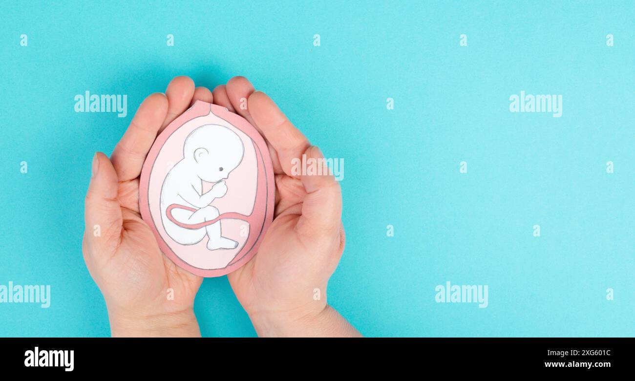 Unborn baby in the uterus, drawing of a fetus in the last trimester of ...