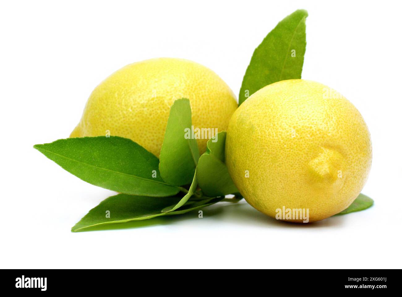 Lemon cut into pieces, fresh tropical fruits on a white background ...
