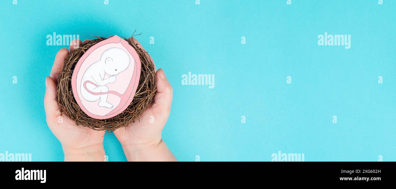 Unborn baby in the uterus, drawing of a fetus in the last trimester of ...