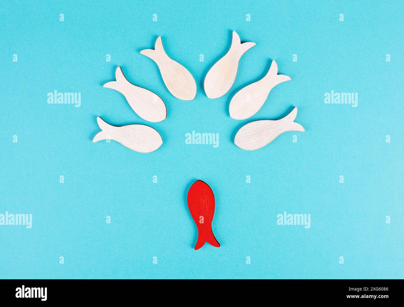 Red fish is the leader of the group, leadership and teamwork concept ...