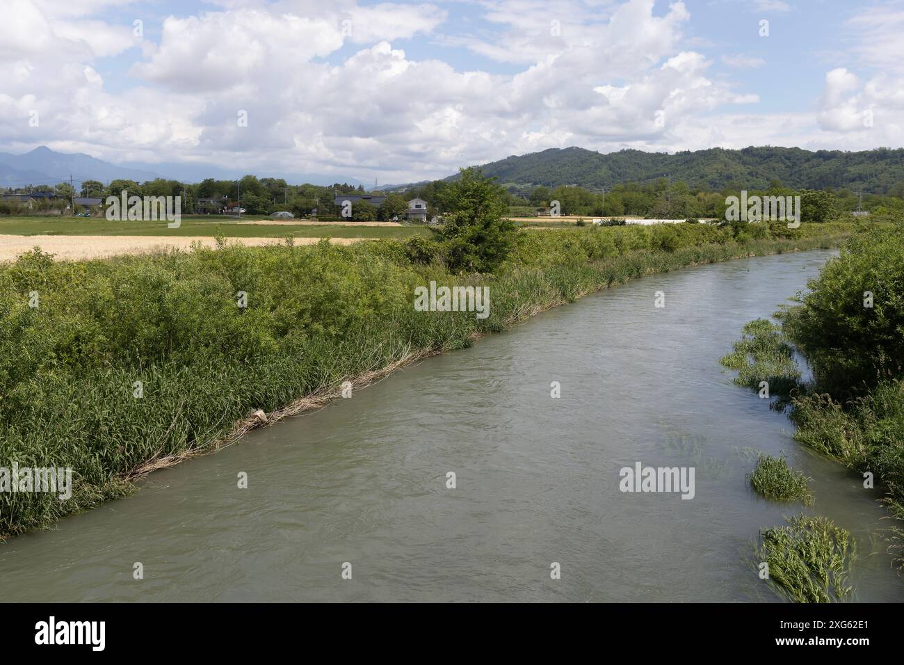 The Daio Wasabi Farm in rural Azumino City near Matsumoto is one of ...