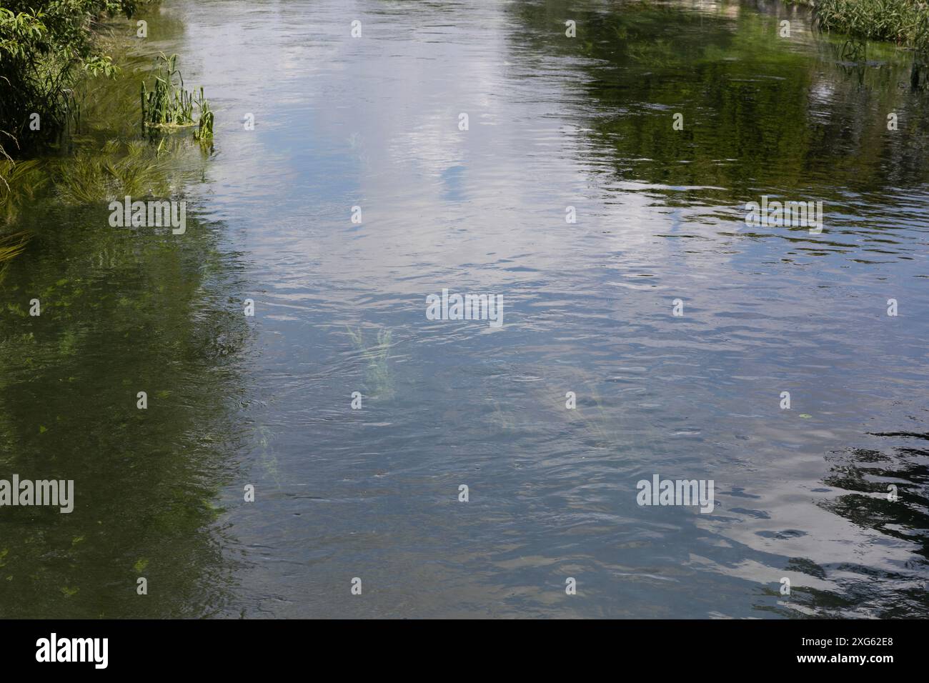The Daio Wasabi Farm in rural Azumino City near Matsumoto is one of ...