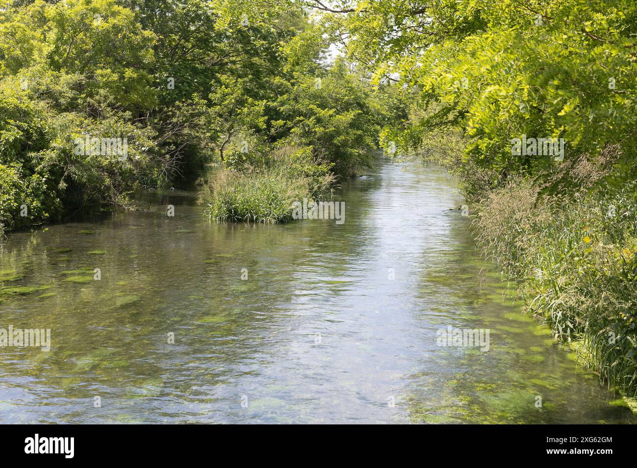 The Daio Wasabi Farm in rural Azumino City near Matsumoto is one of ...