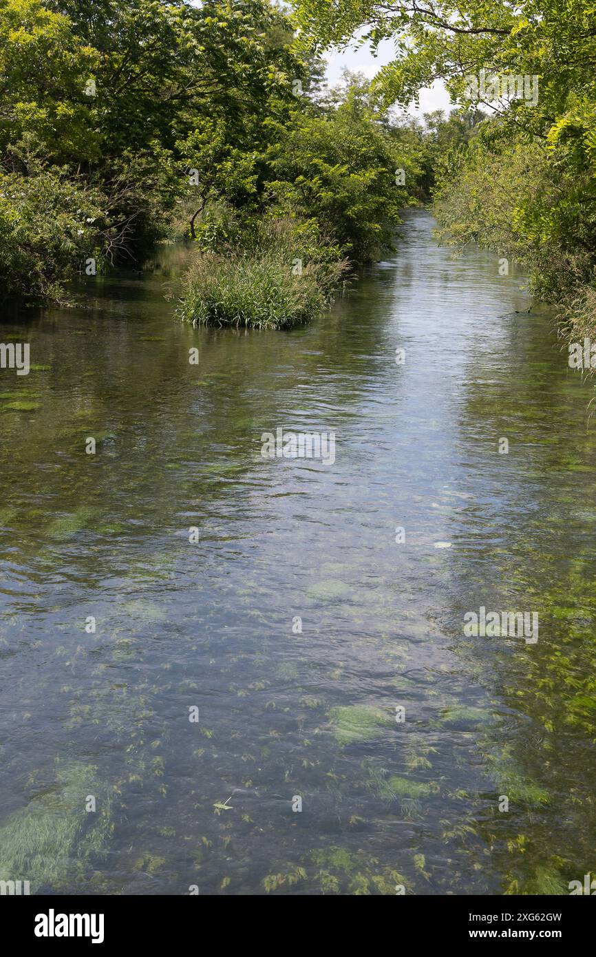 The Daio Wasabi Farm in rural Azumino City near Matsumoto is one of ...