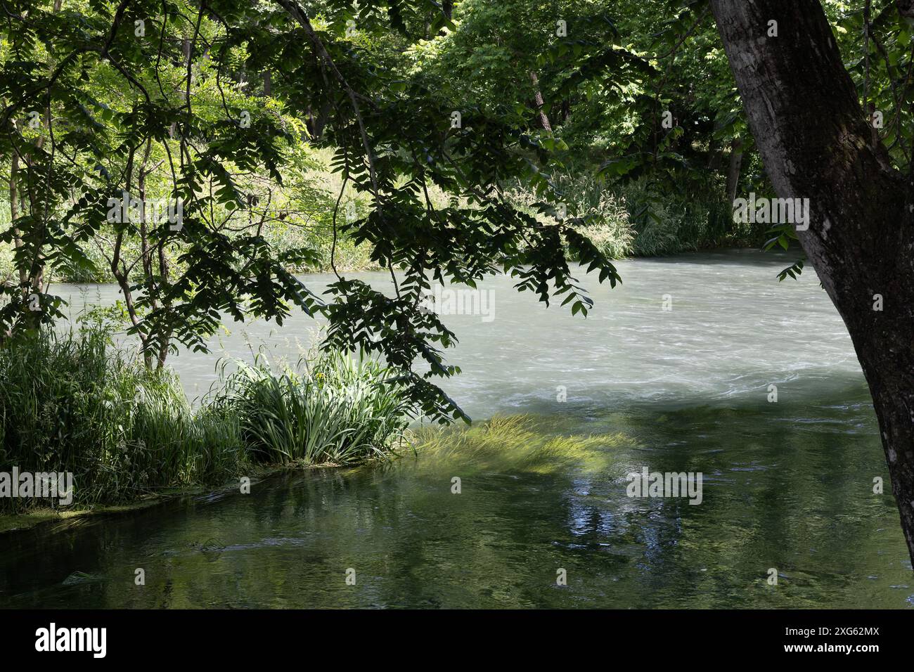 The Daio Wasabi Farm in rural Azumino City near Matsumoto is one of ...