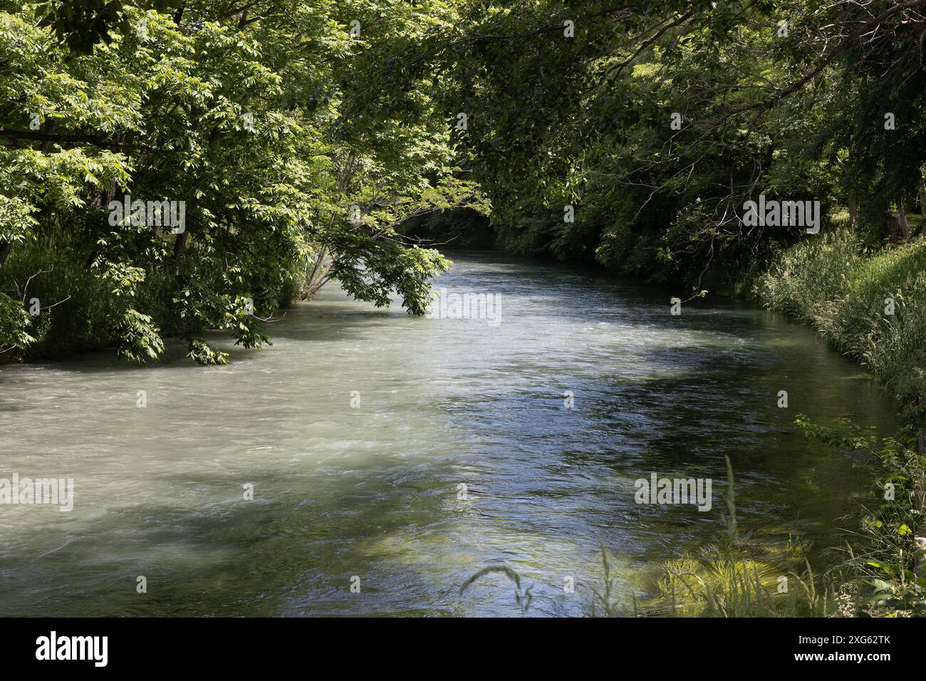 The Daio Wasabi Farm in rural Azumino City near Matsumoto is one of ...
