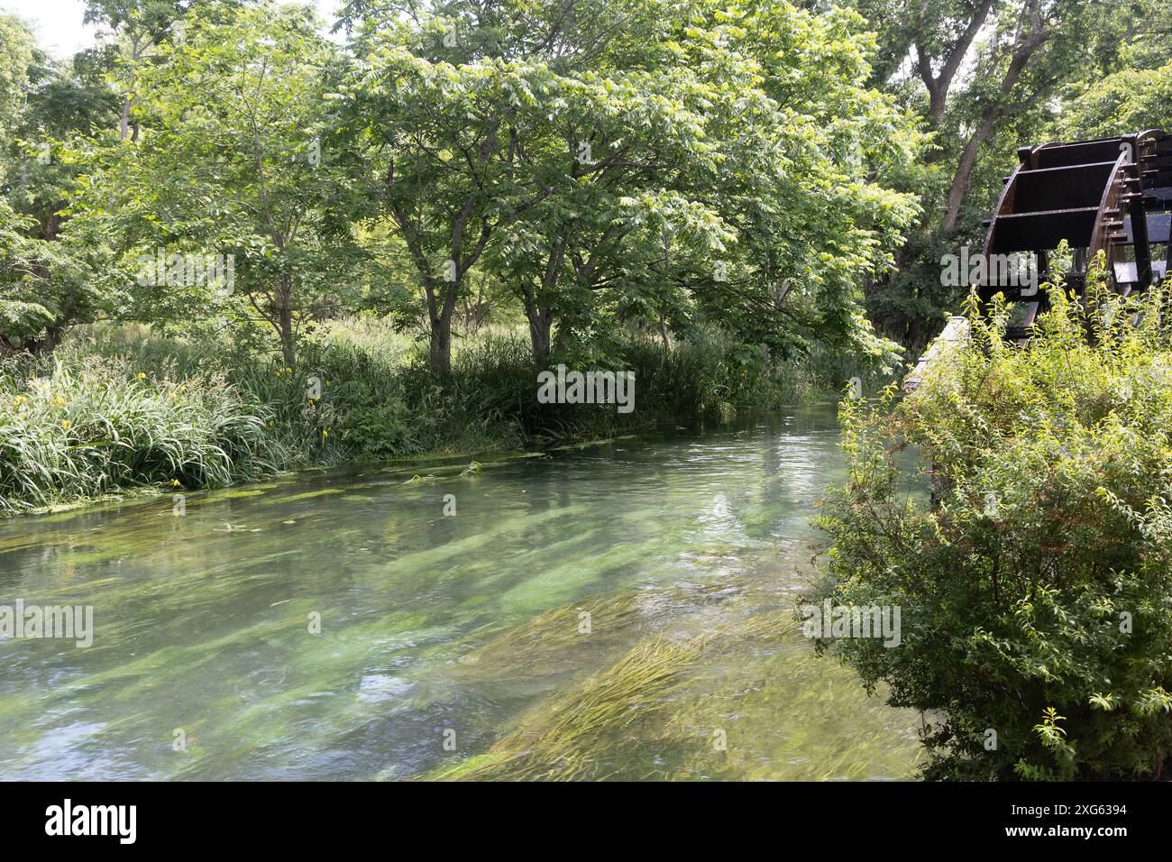 The Daio Wasabi Farm in rural Azumino City near Matsumoto is one of ...