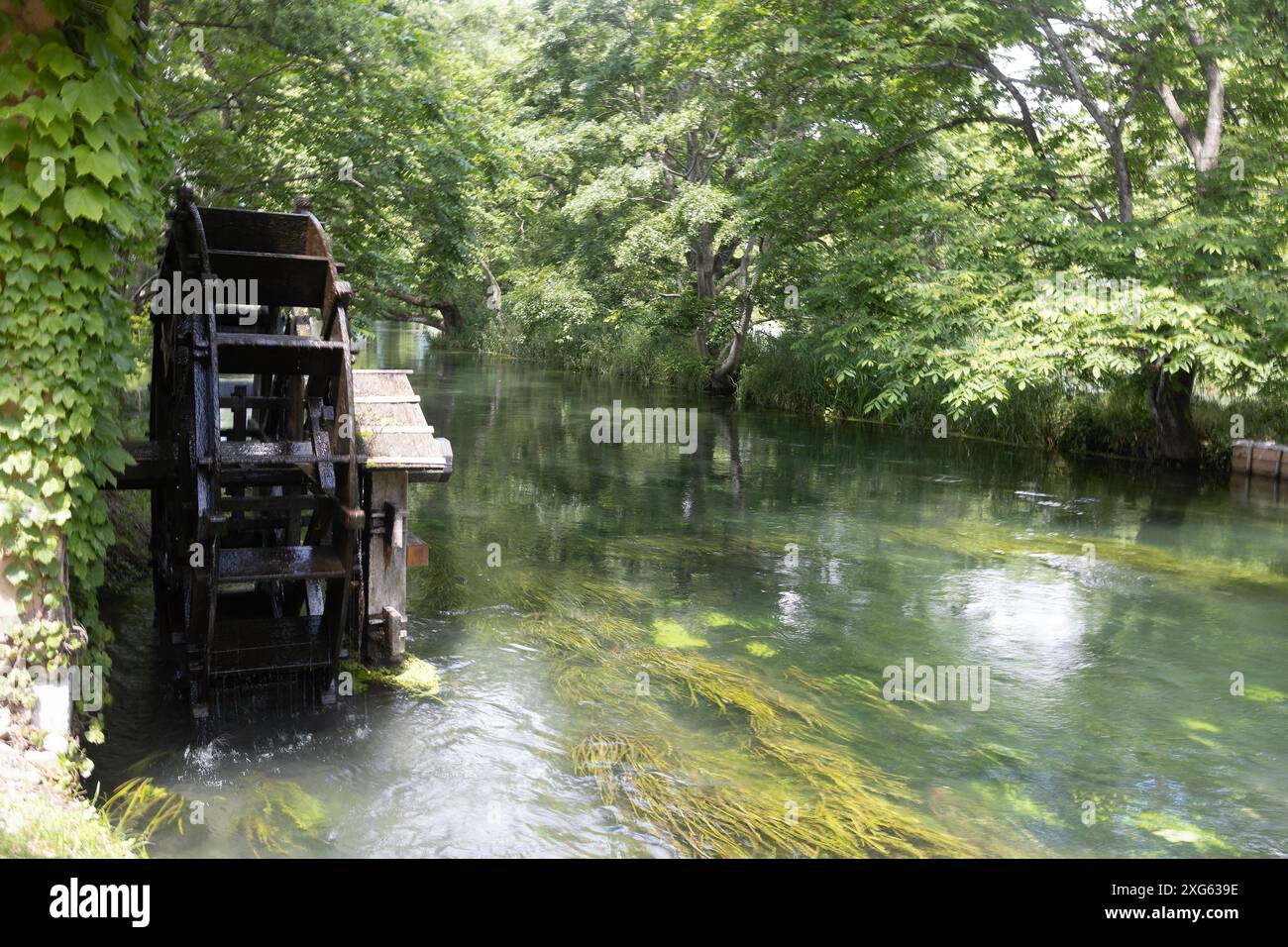 The Daio Wasabi Farm in rural Azumino City near Matsumoto is one of ...