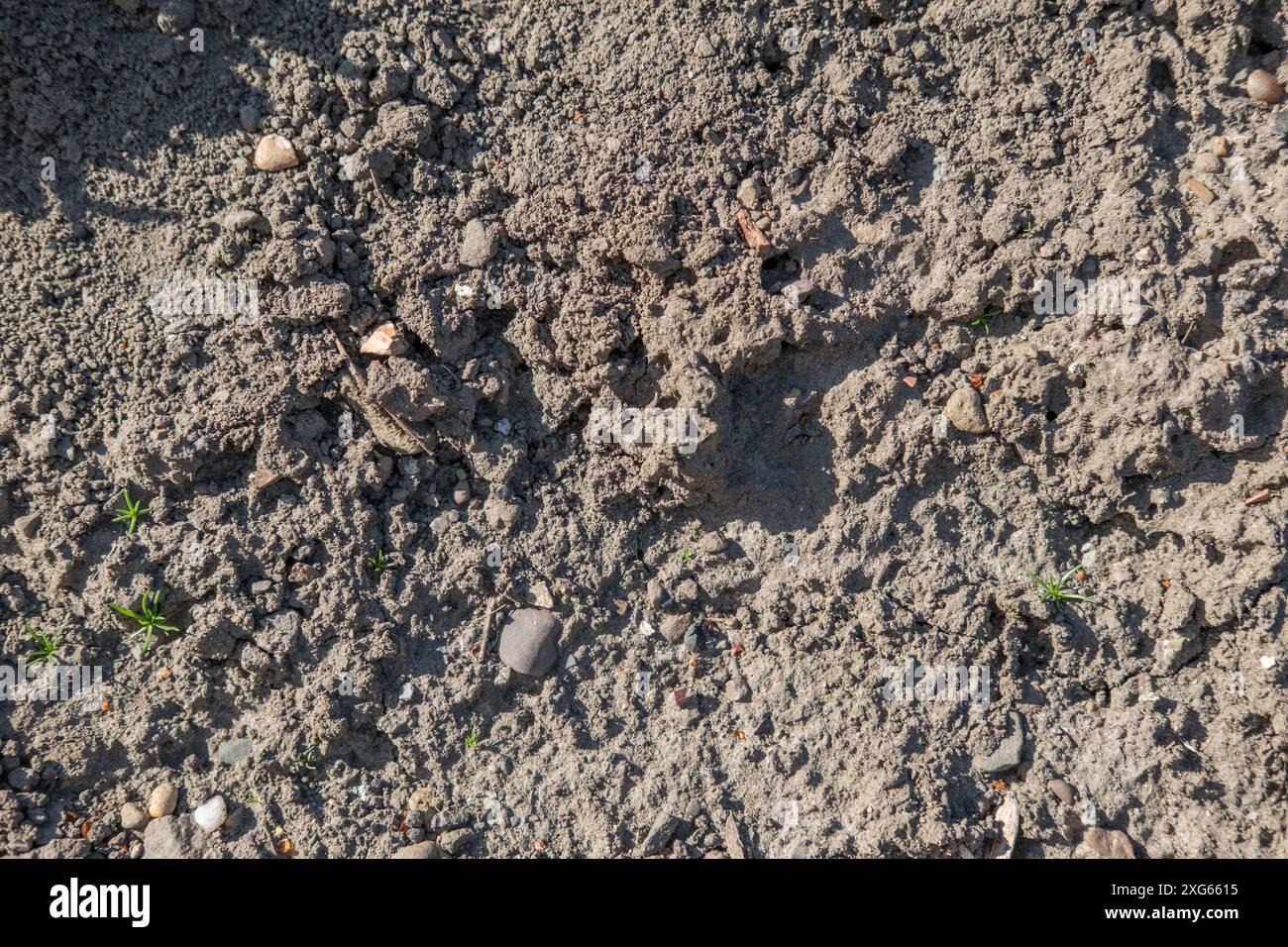 Plain texture hi-res stock photography and images - Alamy