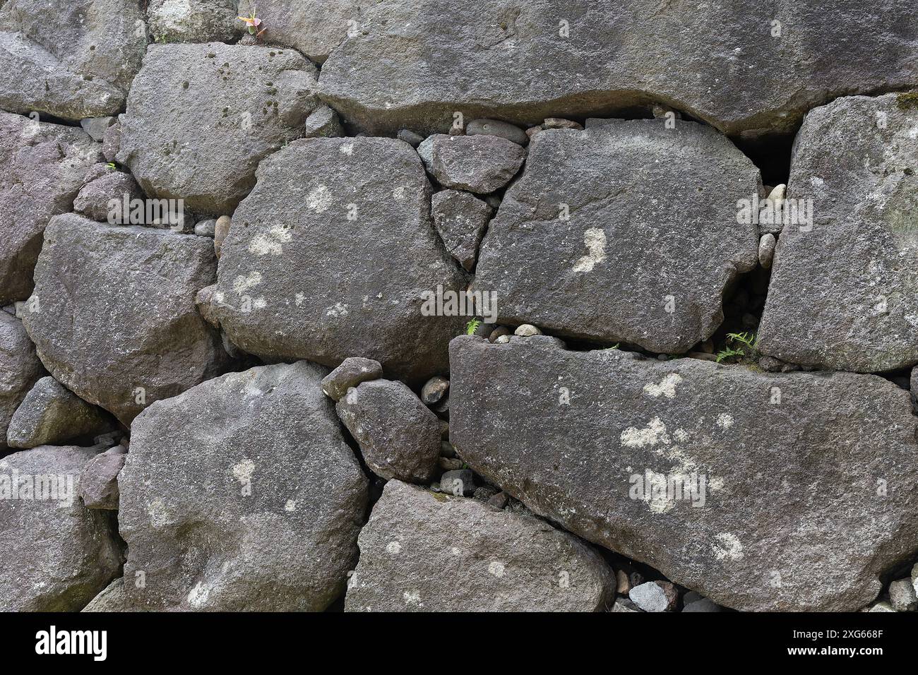 From 1583 to the end of the Edo Period, Kanazawa Castle (金沢城 ...