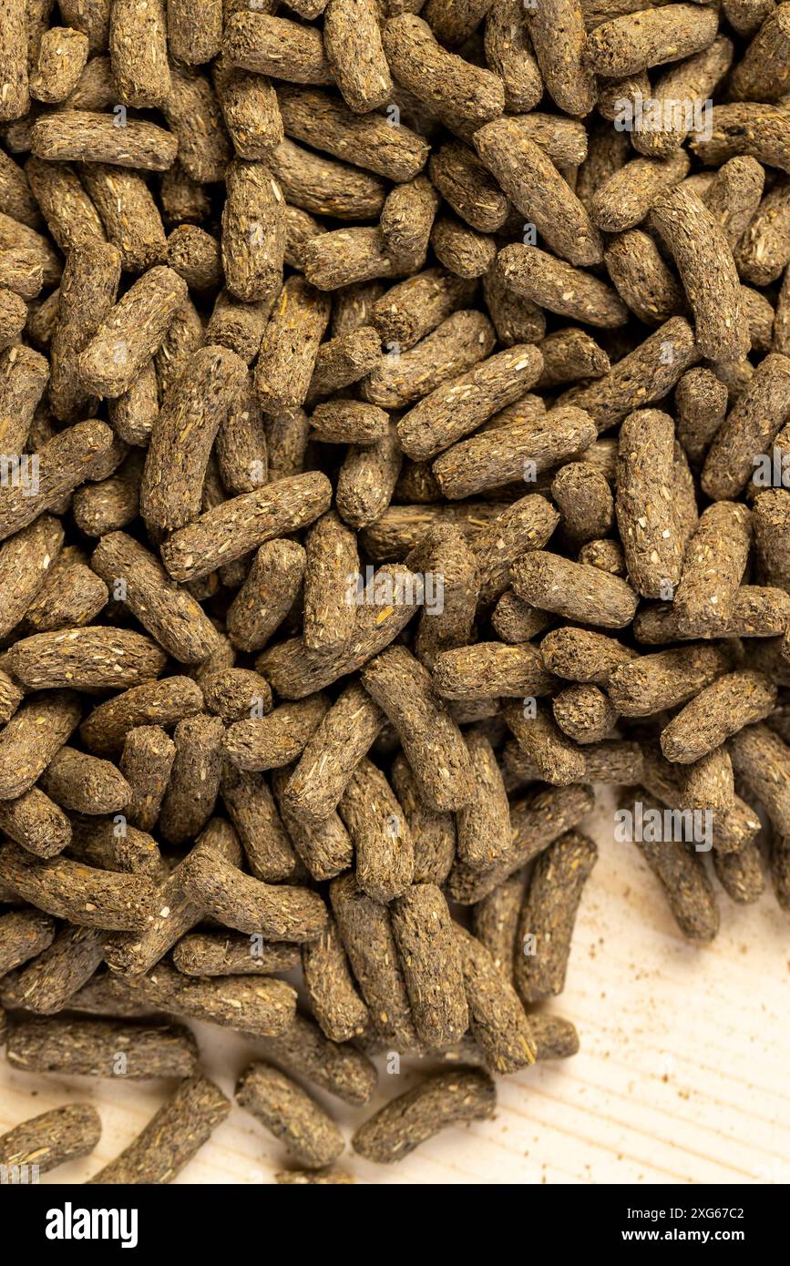 combined food with the necessary useful elements for rodents, mixed ...