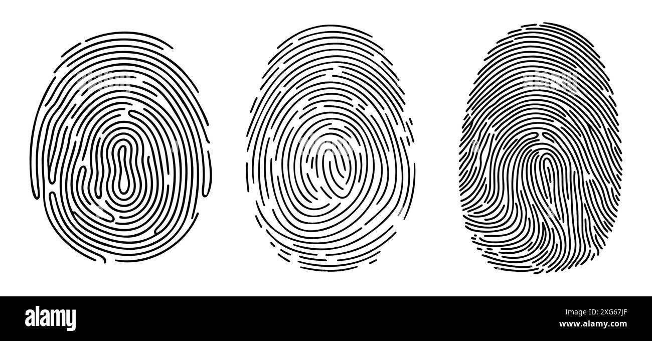vector fingerprint set of each finger isolated on white background ...
