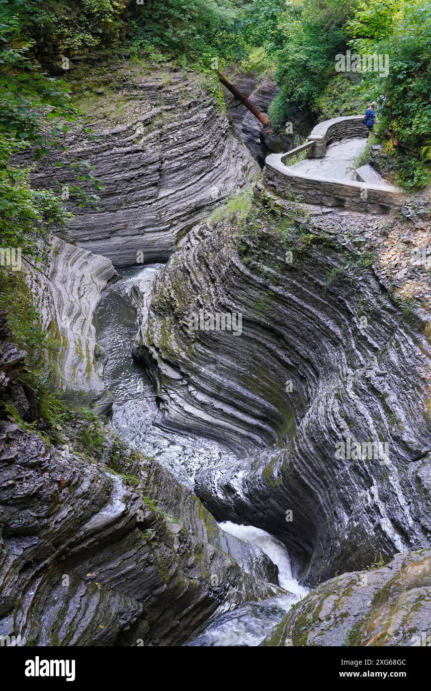 Sedimentary Rock 2231 SEDIMENTARY ROCK COLLECTION 15 SPEC.