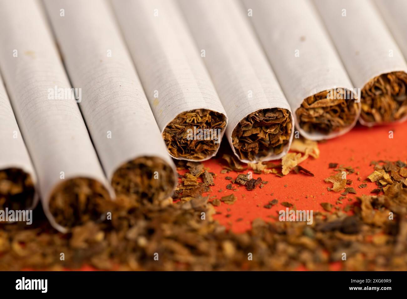 Finely detailed green leaf hi-res stock photography and images - Alamy