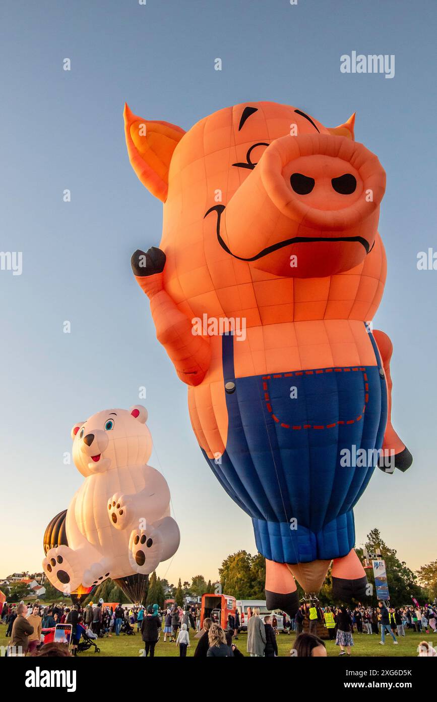 Hot air balloons climbing into the early morning cloudless sky at the ...