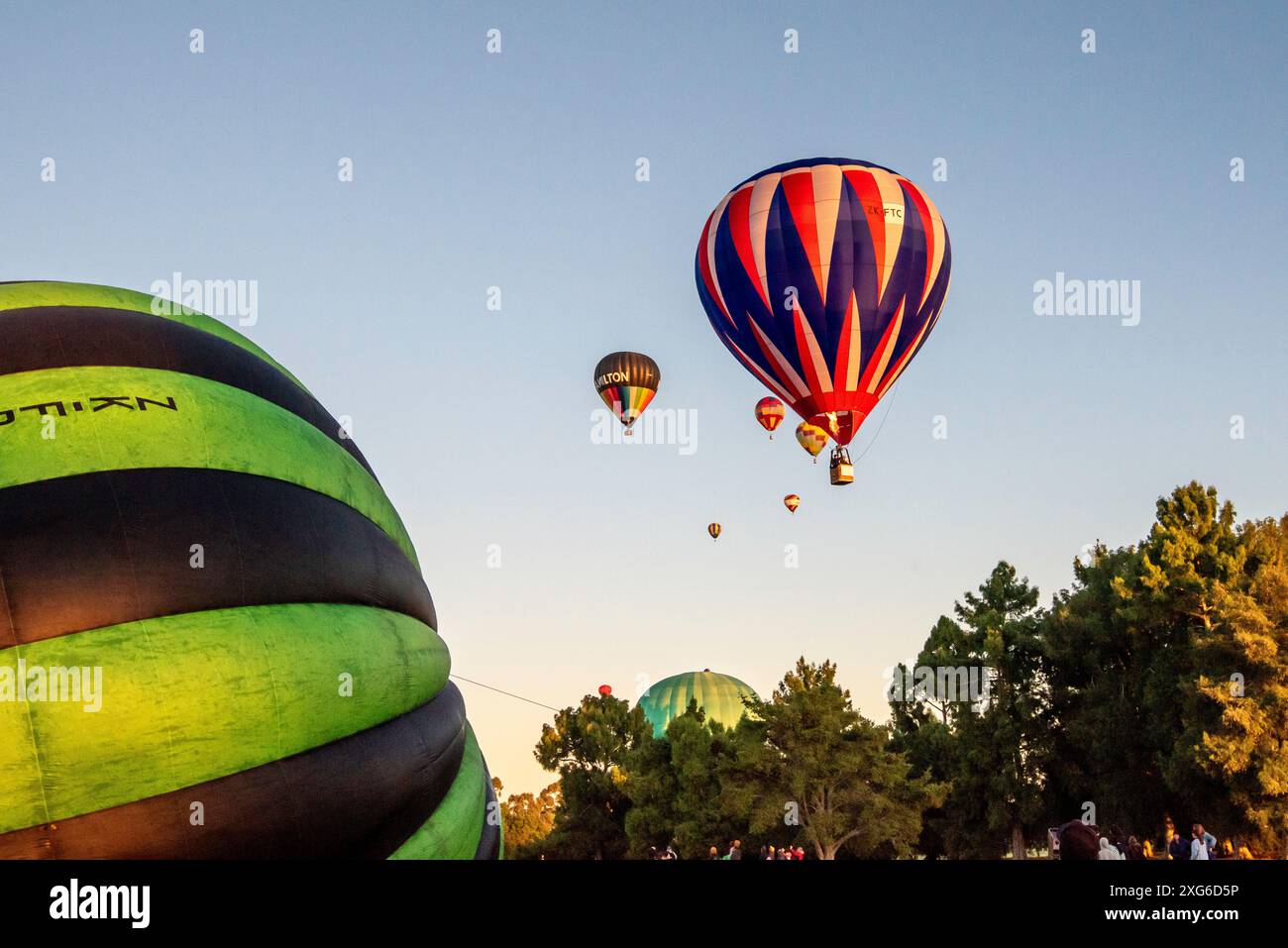 Hot air balloons climbing into the early morning cloudless sky at the ...