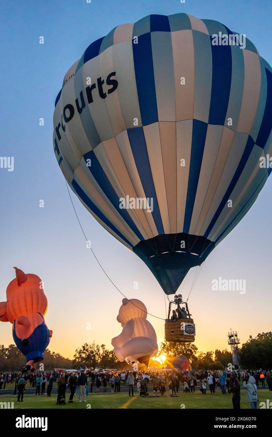 Hot air balloons climbing into the early morning cloudless sky at the ...