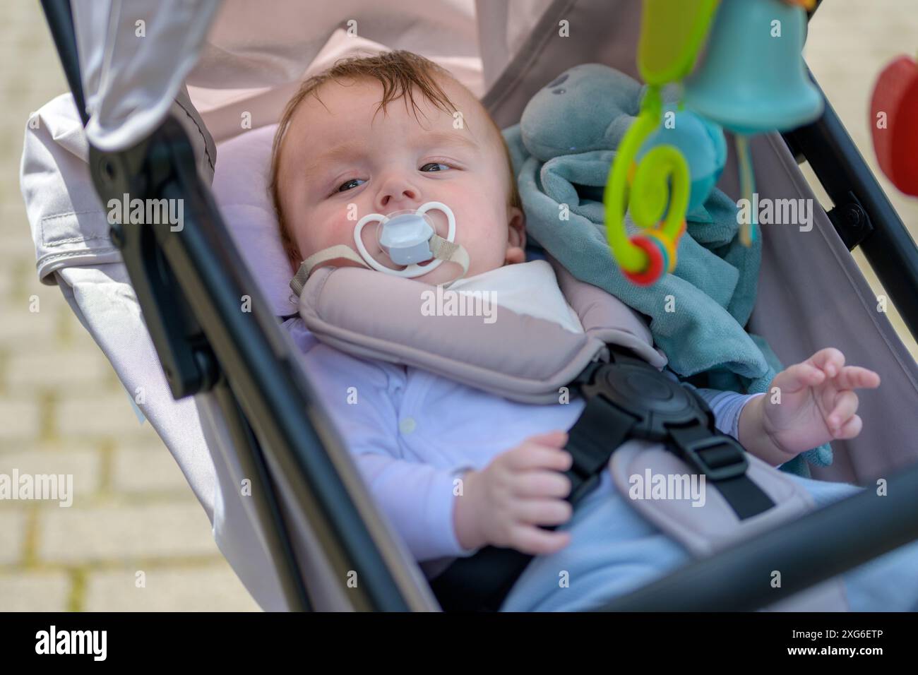 A baby with a pacifier relaxes in a stroller, holding a soft toy and ...