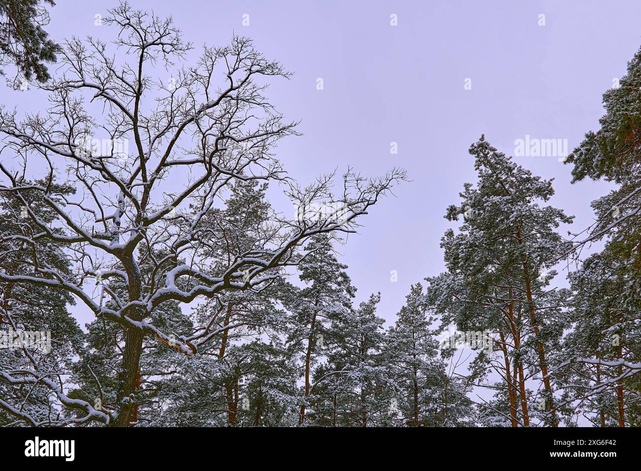 the coldest season of the year, in the northern hemisphere from ...