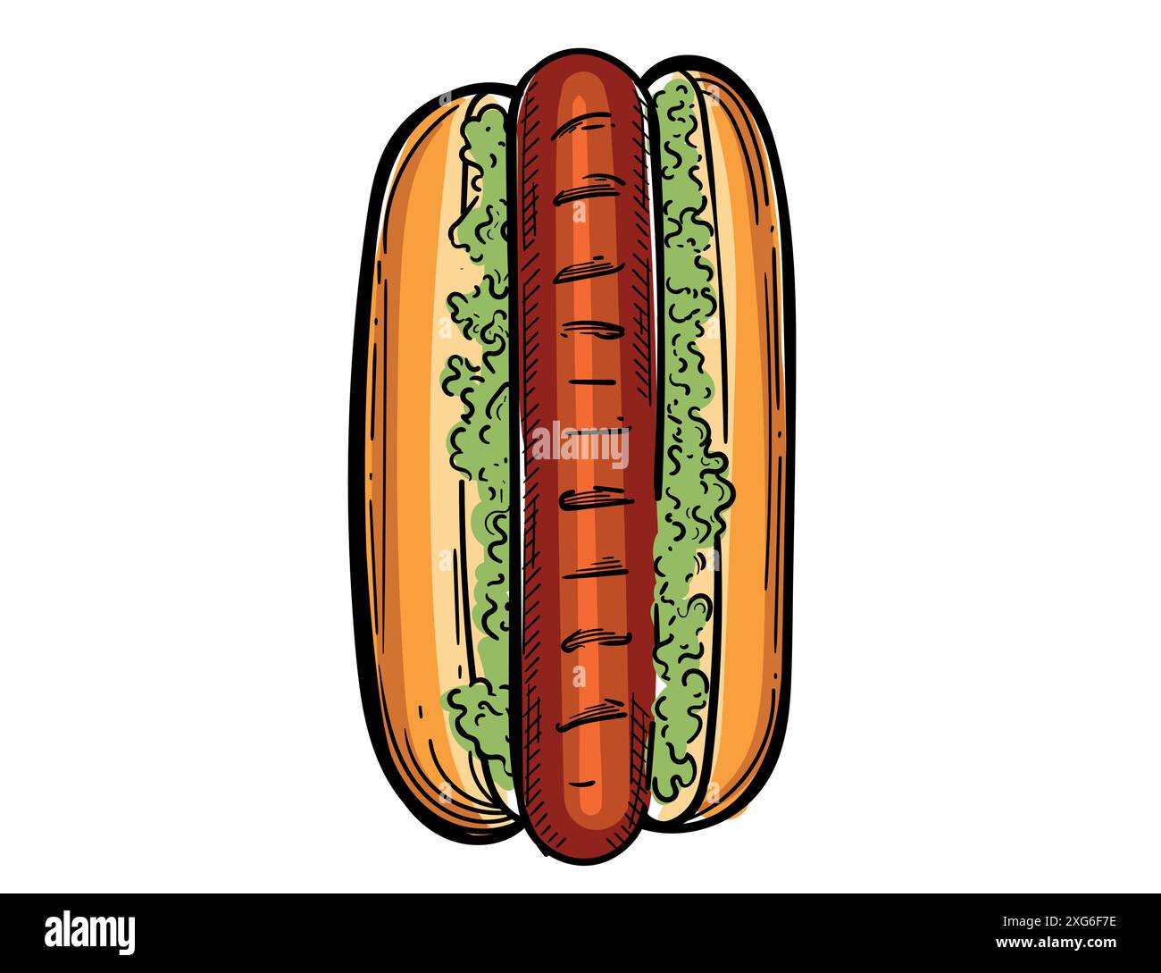 Hand drawn colored hot dog sketch with sausage and sauce vector ...