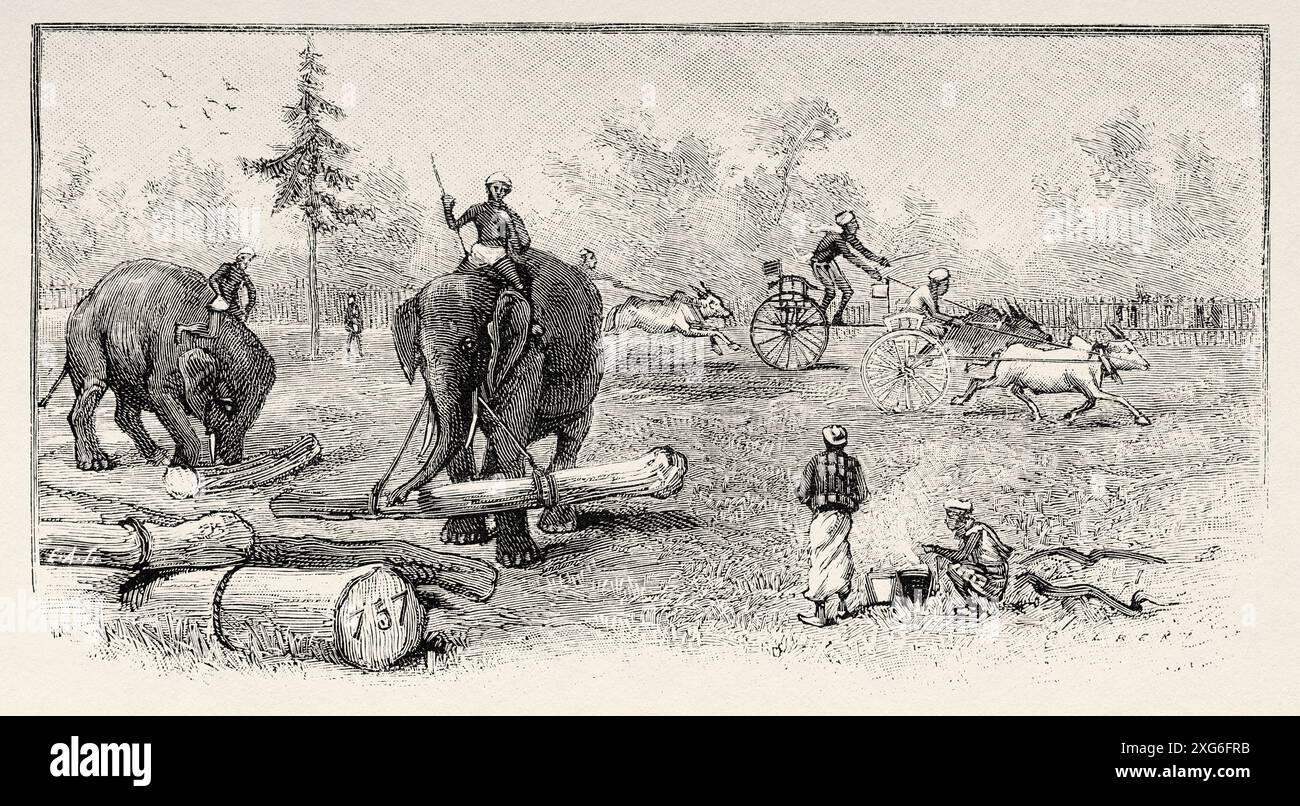 India and Ceylon in the colonial and universal exhibitions of London ...