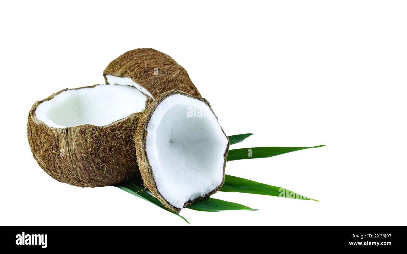 A close-up photograph of a mature and open coconuts isolated on a white ...