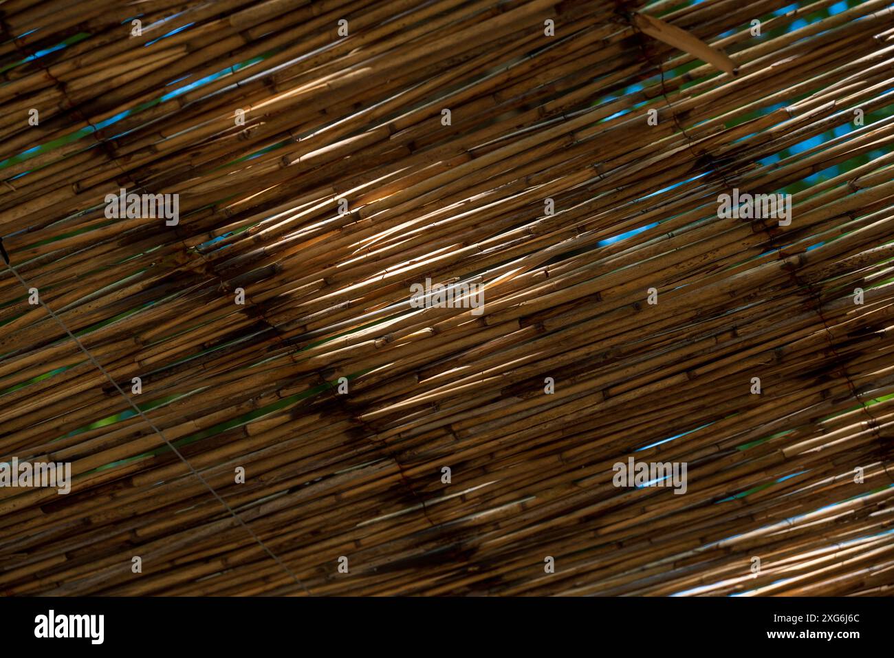 Brown Roof Ceiling Made of Reeds. Illuminated by the Sun in Summertime ...