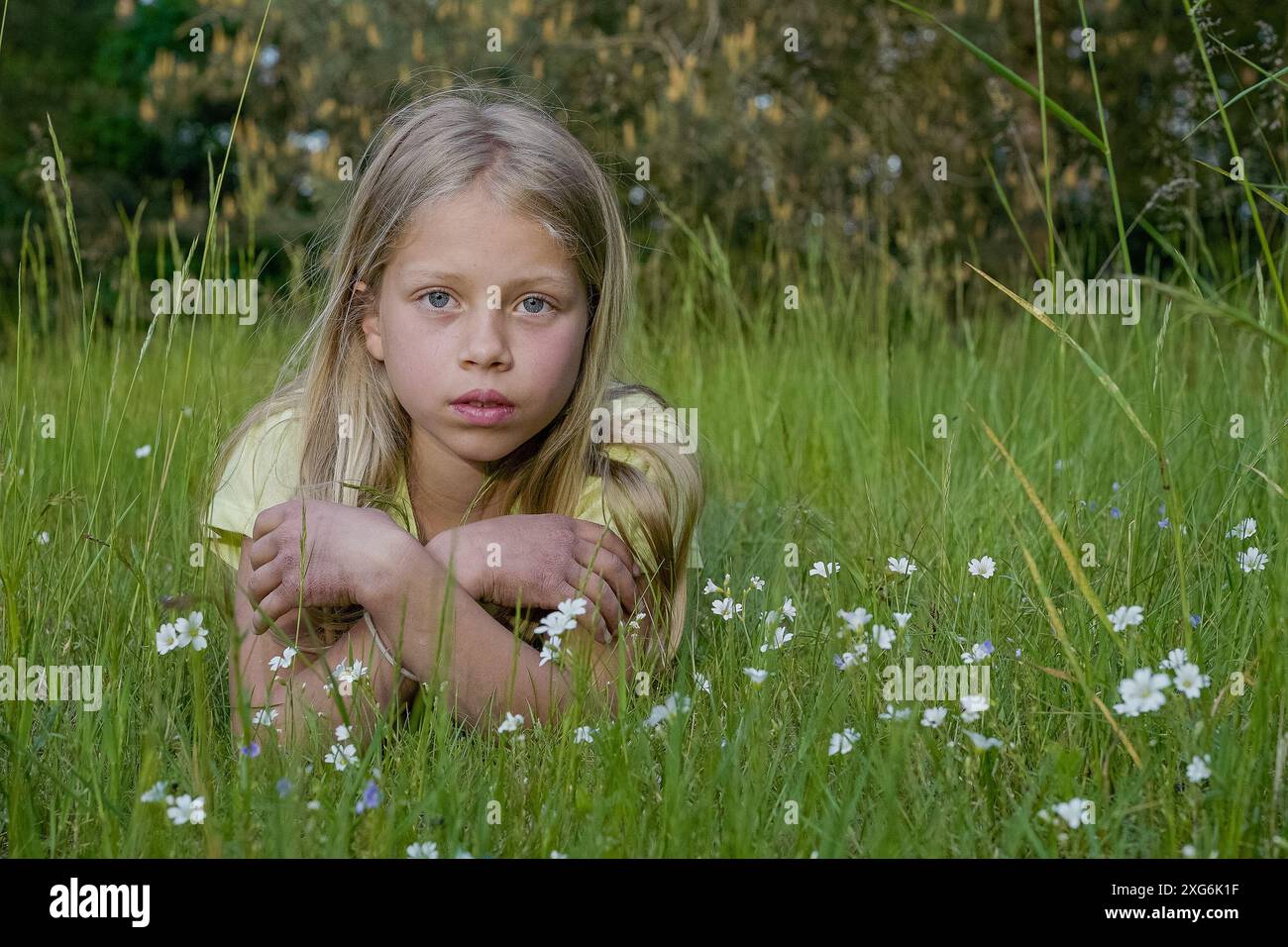 Portrait of a young, pretty girl with long blond hair. The child is ...