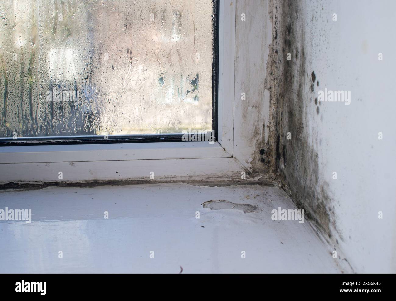 black mold on the window Stock Photo - Alamy