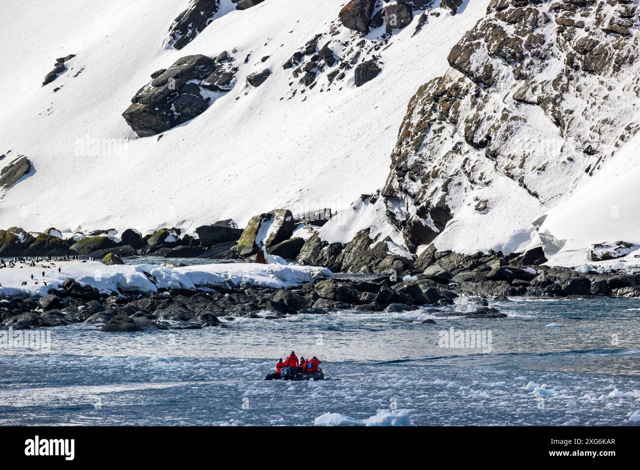 Point Wild, Elephant Island, Antarctica, Thursday, November 23, 2023 ...