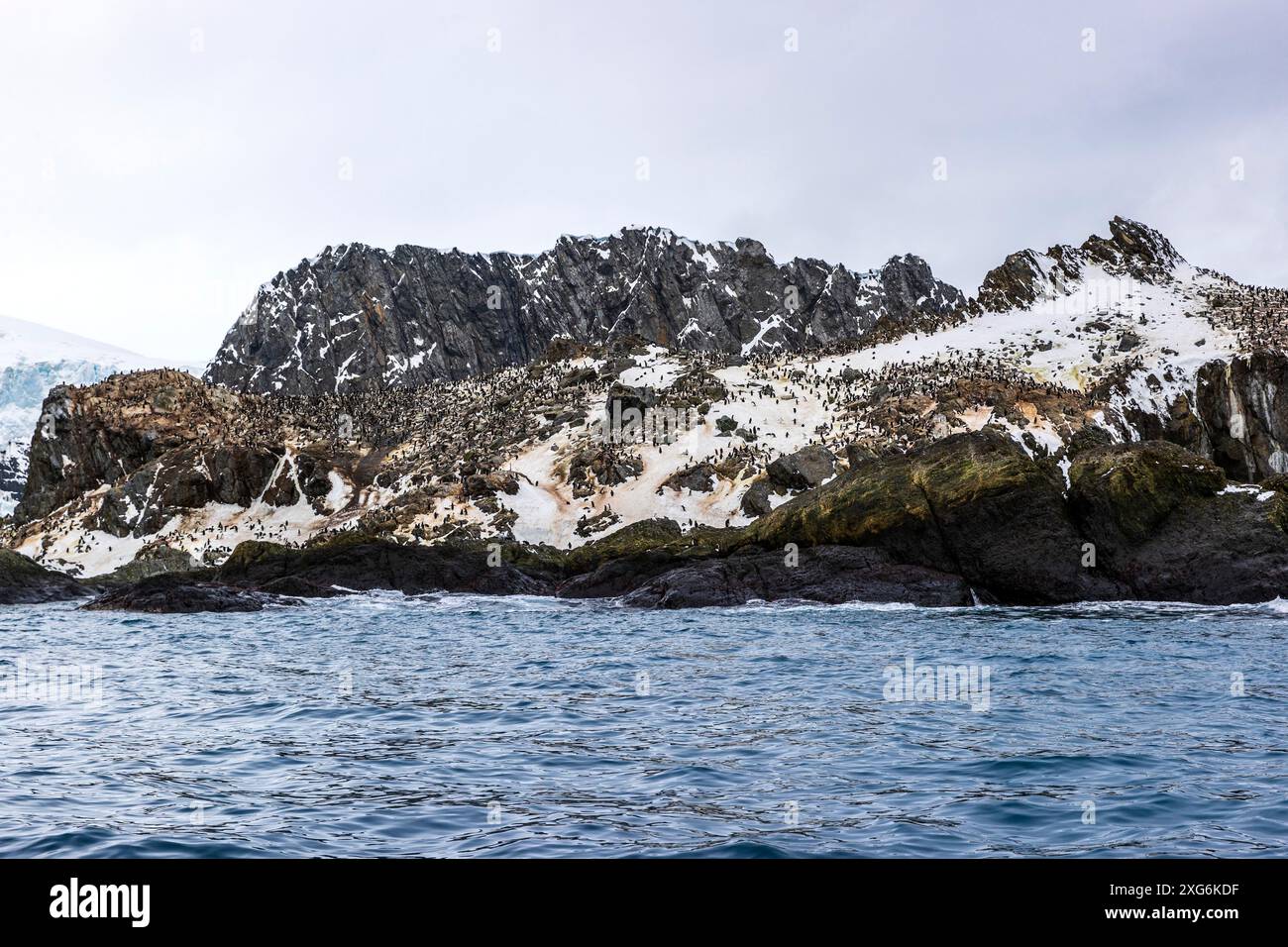 Point Wild, Elephant Island, Antarctica, Thursday, November 23, 2023 ...