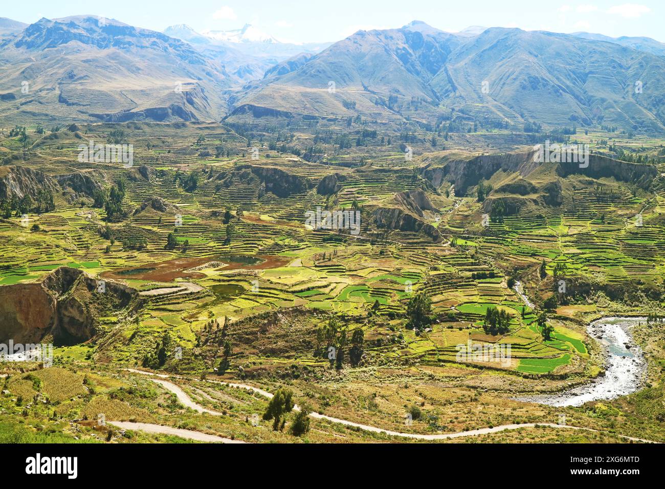 Stunning Aerial View of Agricultural Terraces in Colca Canyon, Arequipa ...