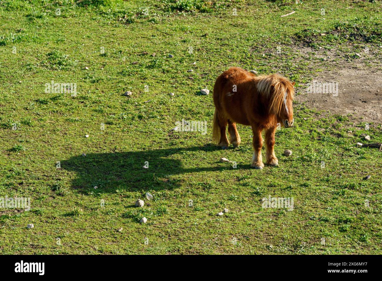 Viewed from the tail hi-res stock photography and images - Alamy