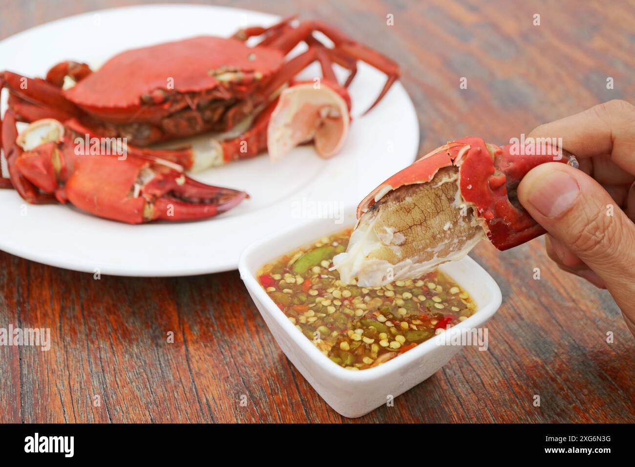 Hand Dipping a Steamed Sea Crab Claw in Flavorful Thai Spicy Seafood ...