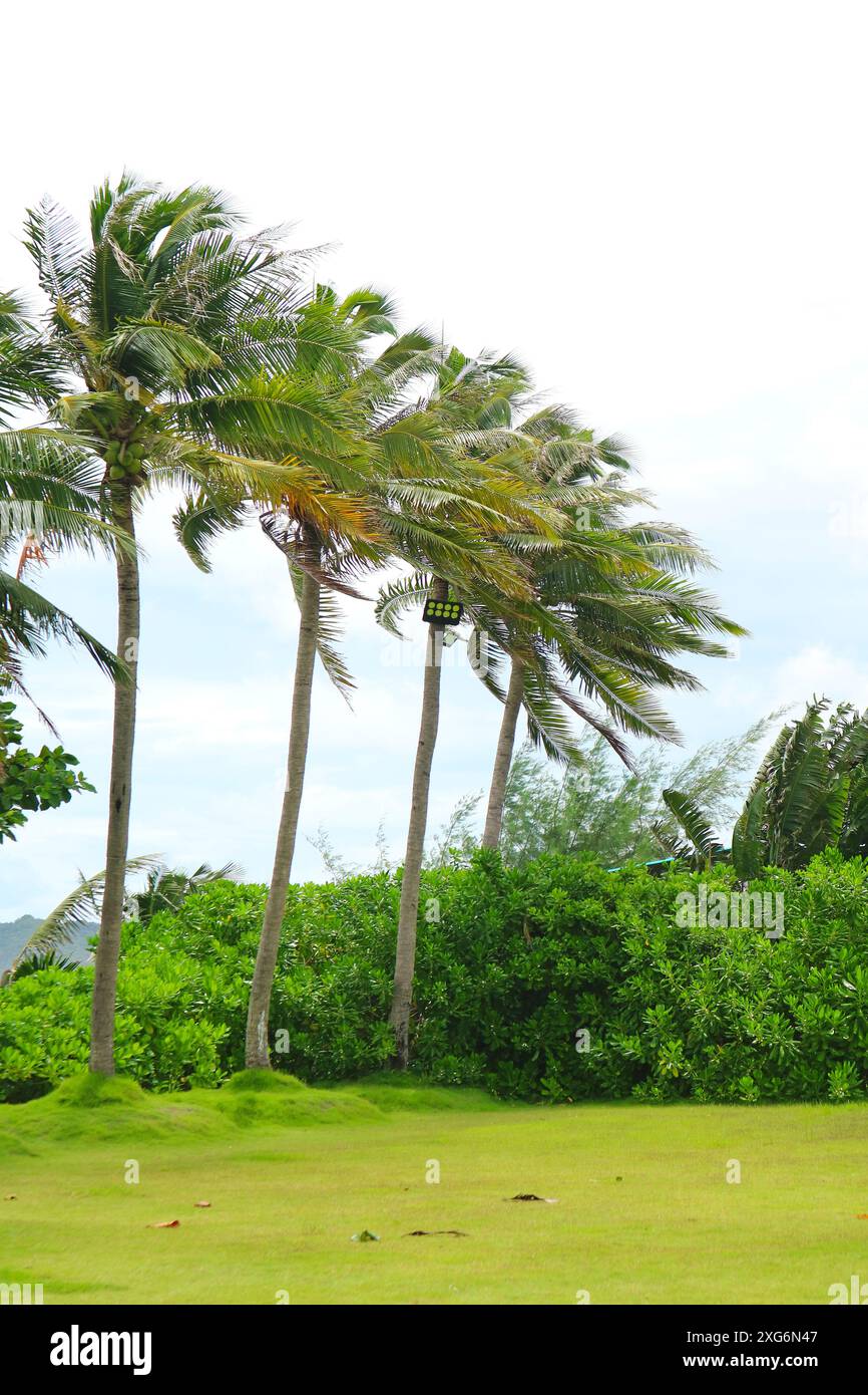 Empty beachfront hi-res stock photography and images - Alamy